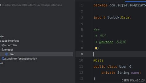 Api项目2：模拟接口开发和调用模拟api接口 Csdn博客
