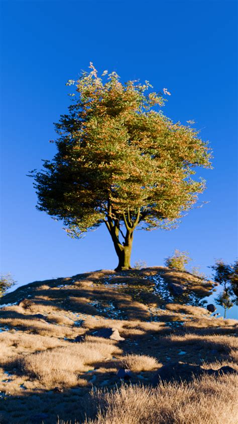 Missing Base Mesh Geometry Nodes Particles And Physics Simulations Blender Artists Community