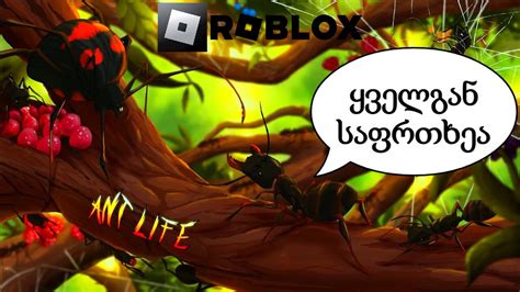 Roblox როგორია ჭიანჭველის ცხოვრება Youtube