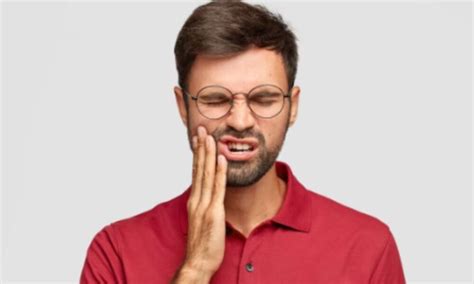 What Is Profile Css In Toyhouse Master Profile Customization