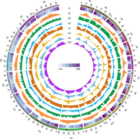 Chromosomal Landscape Of Genomic Features And Chromatin Download Scientific Diagram