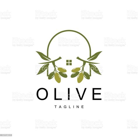 올리브 로고 올리브 오일 식물 벡터 자연 허브 건강 의학 디자인 그림 템플릿 아이콘 개념과 주제에 대한 스톡 벡터 아트 및 기타 이미지 개념과 주제 건강관리와 의술