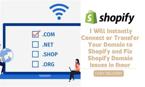Connect Or Transfer Your Domain To Shopify And Fix Domain Issues In 1 Hour By Ecomsparksolu