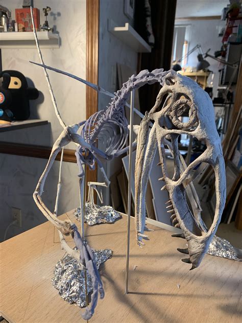Dimorphodon Skeleton By Lormouth Paleo Re Creations The Fossil Forum