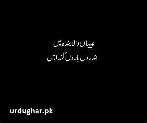 Best Bulleh Shah Poetry In Urdu 2 Lines Copy Paste Text