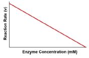 Enzyme Kinetics Video Tutorial Practice Pearson Channels
