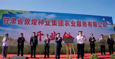 推进制种玉米机械采收 给敦煌种业振兴插上科技的翅膀 敦煌种业农业服务有限公司隆重开业 召开机械化采收演示会 敦煌种业 DHSEED