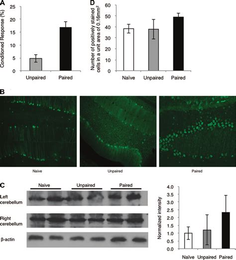 A Results From One Session Of 100 Trials In 250 Ms Delay Eyeblink Download Scientific Diagram