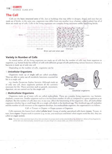 SOLUTION Cell Structure And Functions Studypool SOLUTION Cell Structure And Functions Studypool