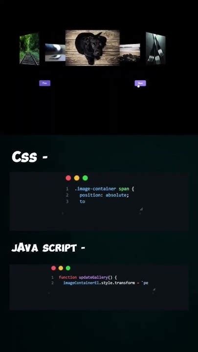 3d Rotation Image Gallery Using Html Css Javascript Programming Coding Youtube