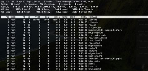 How To Check Cpu Usage In Linux Command Line How To Check Cpu Usage In Linux Command Line