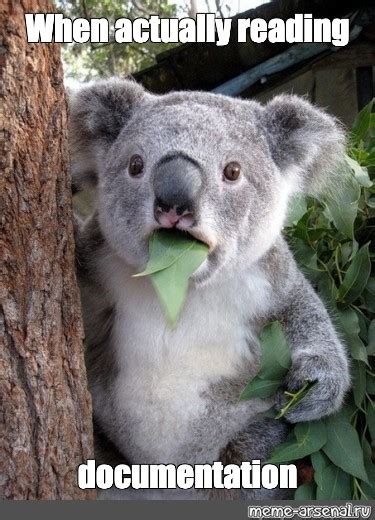 Meme When Actually Reading Documentation All Templates Meme