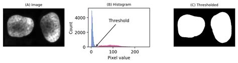 image basics and thresholding — day 2 intro to bioimage analysis with