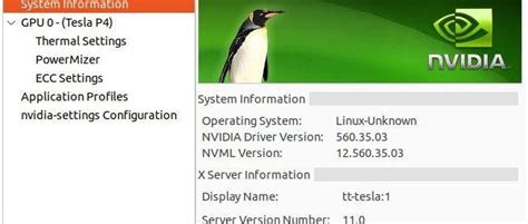 Ubuntu使用tesla P4配置anacondacudapytorch 知乎