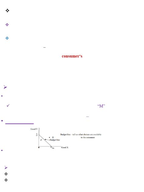 Theory Of Consumers Behaviour Pdf Consumers Marketing