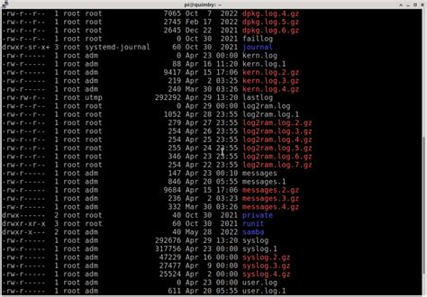 Logging In Python Raspithek
