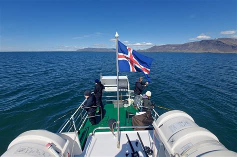 Sharp Contrasts In Population Shifts Across Iceland