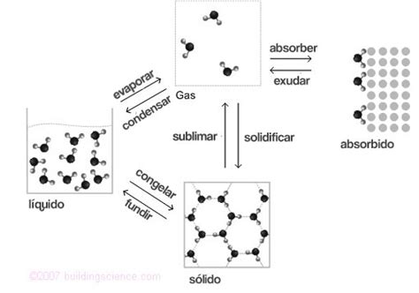 La Humedad Y Los Materiales Soluciones Especiales