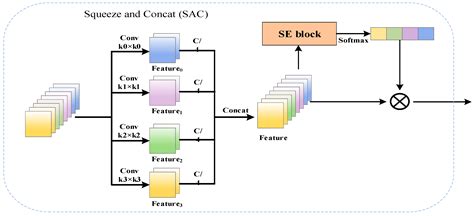 Remote Sensing Free Full Text Dual Branch Attention Assisted Cnn