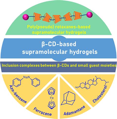 Cyclodextrin Based Hydrogels Synthesis