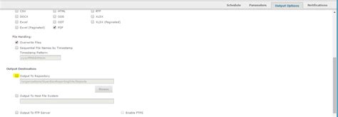 Repository Checkbox In Output Options Tab Dynamically Helical It Solutions Pvt Ltd