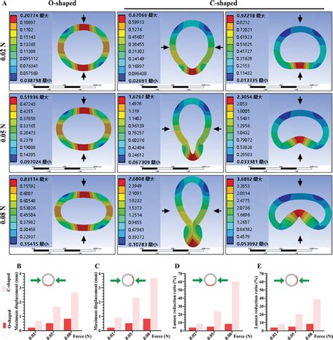 Finite Element Analysis Of The Compressive Properties Of O‐ And