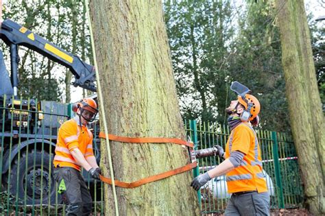 BS5837 Tree Protective Fencing West Yorkshire Tree Care Company