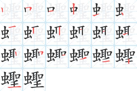 《蟶》的笔顺、笔画， 蟶字笔顺怎么写