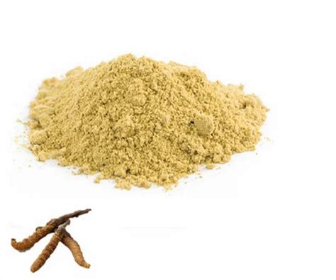 Organic Keeda Jadi Powder At Rs 1200 Gram Cordyceps Powder In Gurugram Id 2853476292133