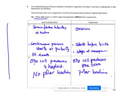 Exam Techniques Flashcards Quizlet