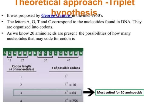 Deciphering Of The Genetic Code Pptx Deciphering Of The Genetic Code Pptx