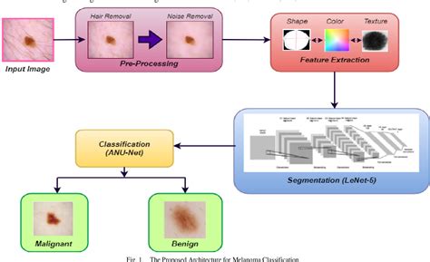 Figure 1 From Skin Melanoma Classification From Dermoscopy Images Using Anu Net Technique
