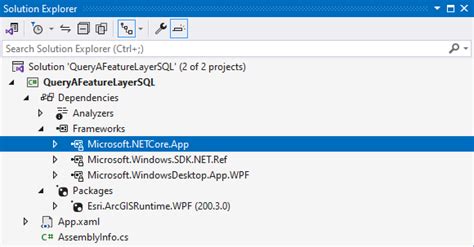 Persistent Warning Runtimecorenet2003dll Of Proj Esri Community