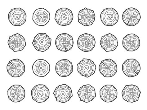 Page 3 Tree Core Images Free Download On Freepik Page 3 Tree Core Images Free Download On Freepik