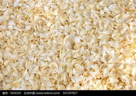 百合高清图片下载 红动中国