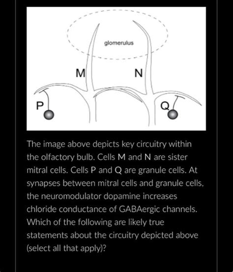 Solved The Image Above Depicts Key Circuitry Within The