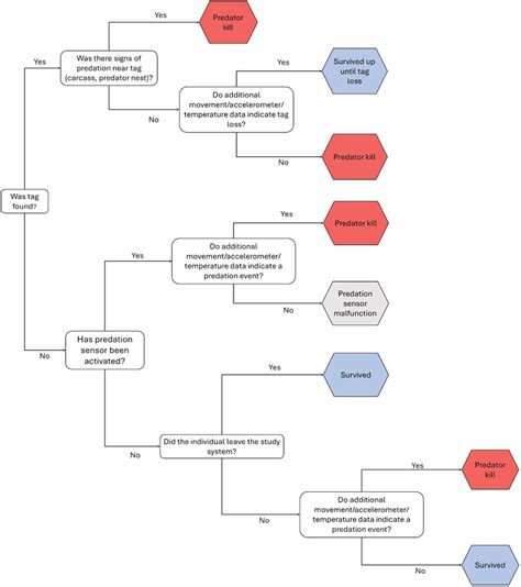 An Example Decision Tree That Can Be Used For Categorization Of Fates Download Scientific
