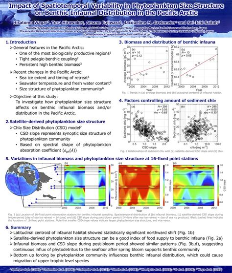 Pdf Impact Of Spatiotemporal Variability In Phytoplankton Size Structure On Benthic Infaunal
