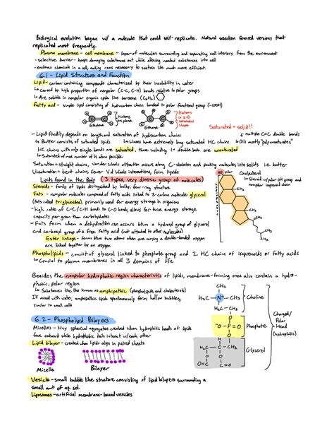 Chapter 6 Lipids Membranes And The First Cells Biologicalevolution
