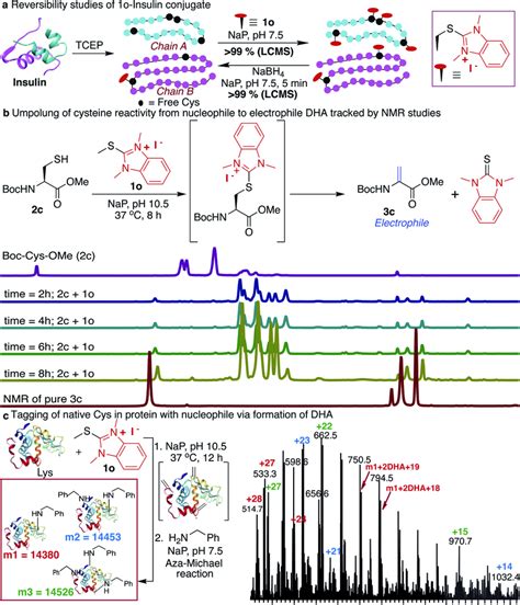 Reversibility And Inversion Of The Reactivity Of Cysteine By Hat Probe Download Scientific