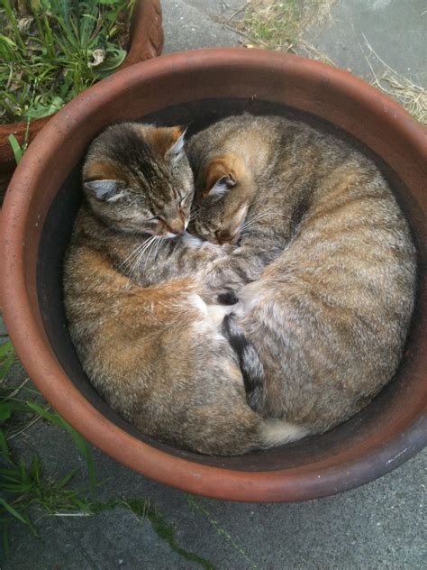 Knew Them Since I Was Years Old They Both Passed A Year Ago At Over Years Old R Pics