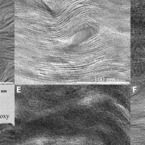 Luyi Yan University Of Florida Fl Uf Department Of Physics Research Profile