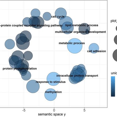 Visual Representation Of Gene Ontology Go Terms Related To Biological Download Scientific