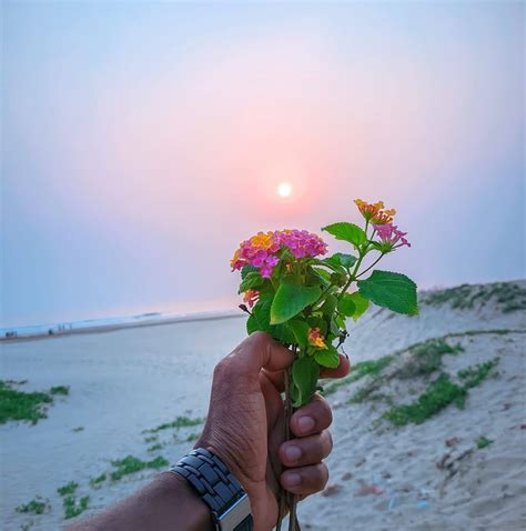 БНТ 4 ПЪТЕШЕСТВИЕ МЕЖДУ ДВА ФИЛМА Откровение за киното живота вярата и любимите хора