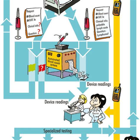 Schematic Representation Of The Recommended Laboratory Workflow Download Scientific Diagram