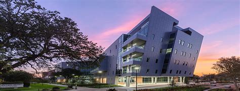 Phi Epsilon Houston Tsu Tx Omega Delta Phi Fraternity Inc