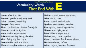 Vocabulary Words That End With E Vocabulary Point
