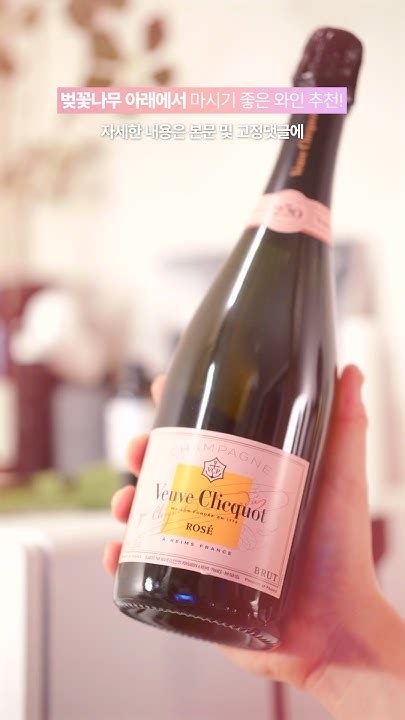 올해 벚꽃놀이에는 와인과 함께🌸 와인 샴페인 화이트와인 레드와인 Youtube