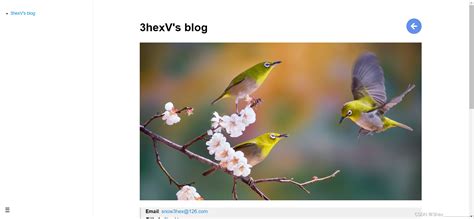 Vscode插件 轻量级静态博客 Mdblogvscod Markdown插件 Csdn博客