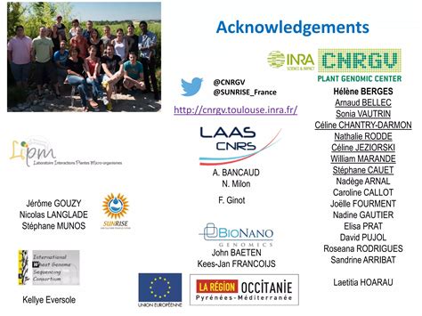 Toward A Better Understanding Of Plant Genome Structure Combining Ngs Optical Mapping